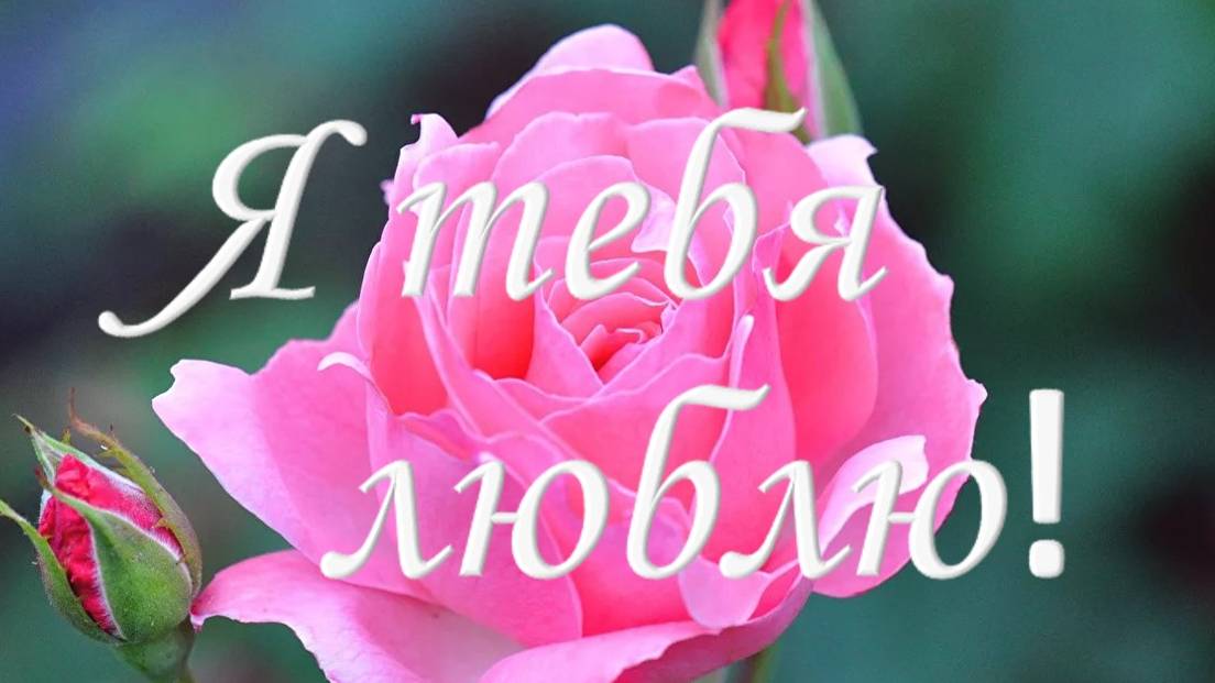 Я тебя люблю!