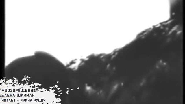 Выжившим и павшим в Великую Отечественную войну посвящается