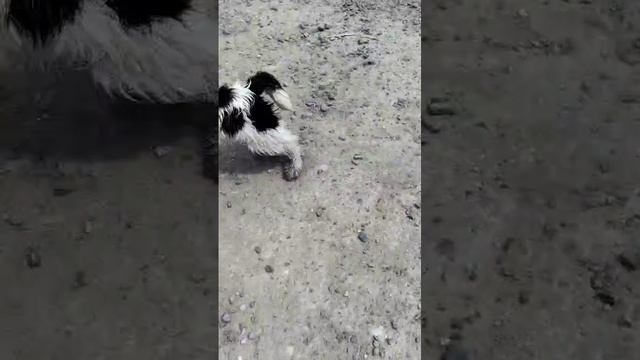 Тосю помыли