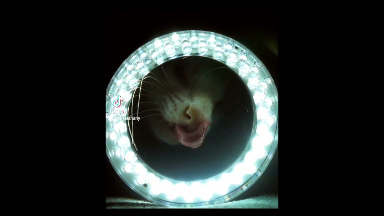 Хорявенький антитренд