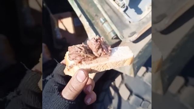 Обращение Вагнер