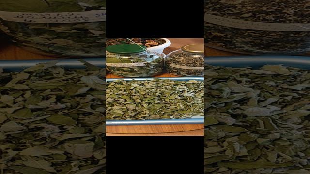 Начали собирать чай для себя и на продажу