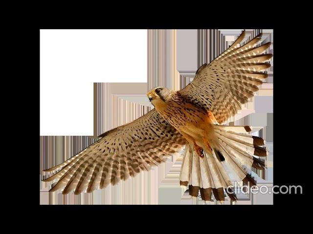 Загадки Господа