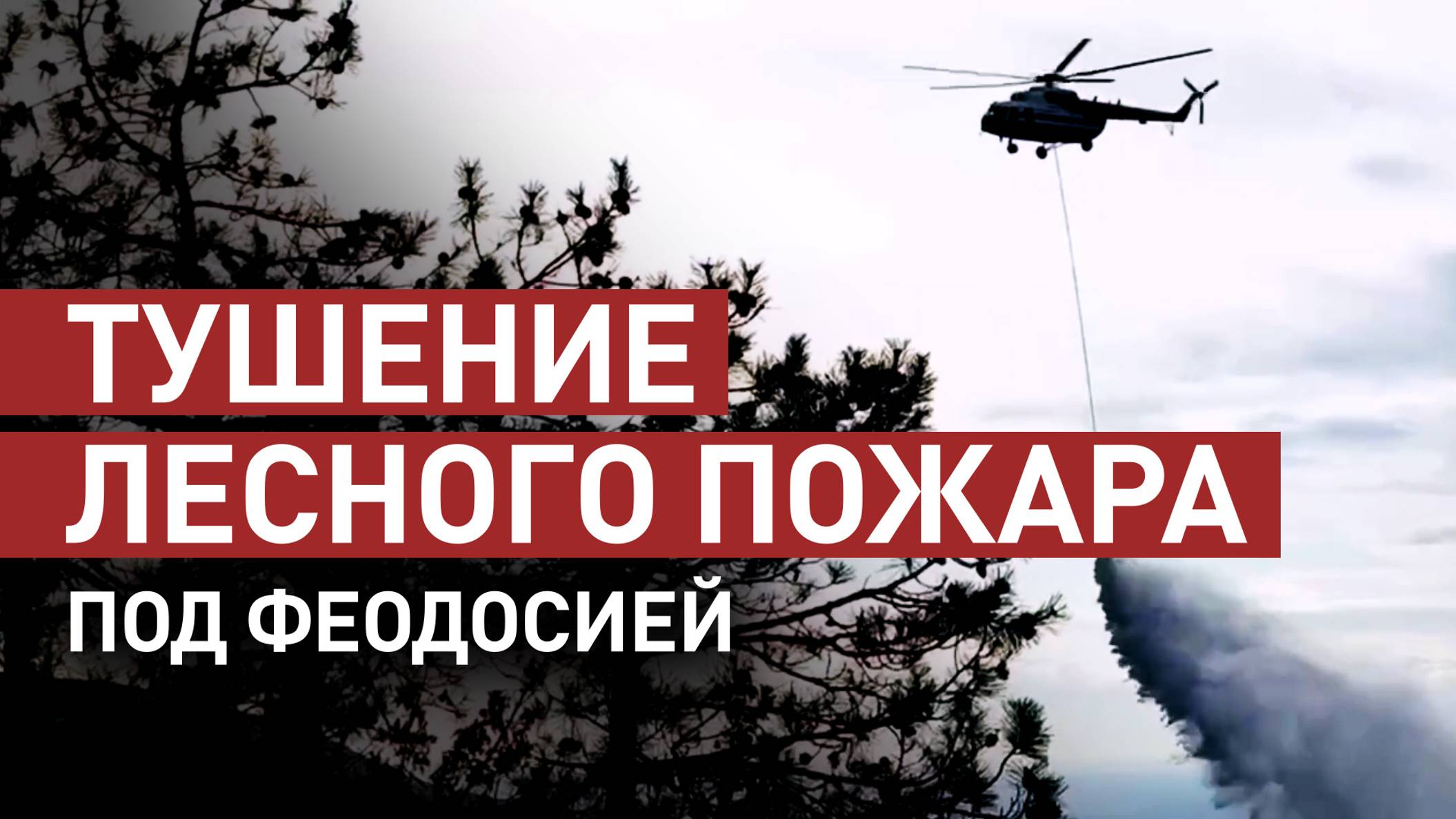 Ситуация стабилизировалась: спасатели продолжают борьбу с лесным пожаром в Крыму