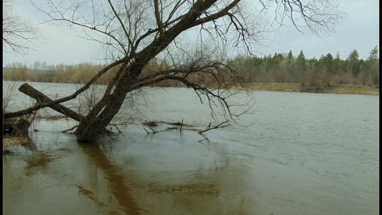 весна на Хопре