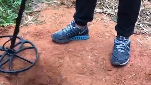 Металлоискатель, Gold Hunter T90 Frogman.