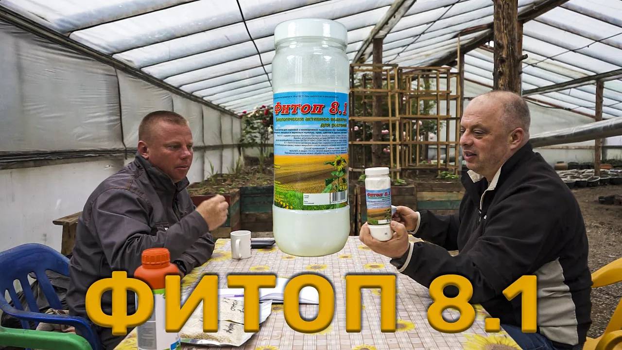 Фитоп 8.1 для выращивания самой большой тыквы🎃