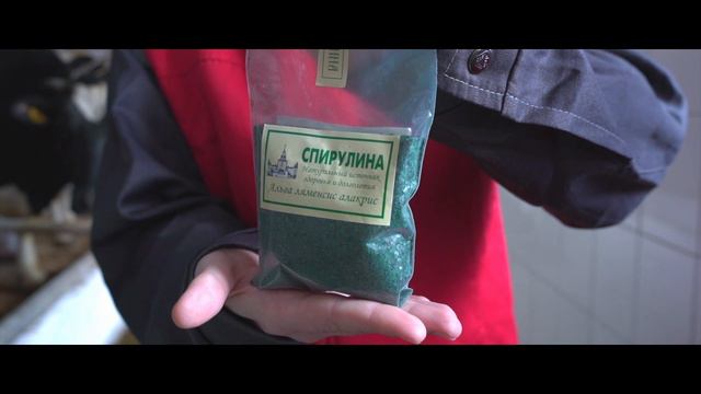 Спирулина Курский ГАУ