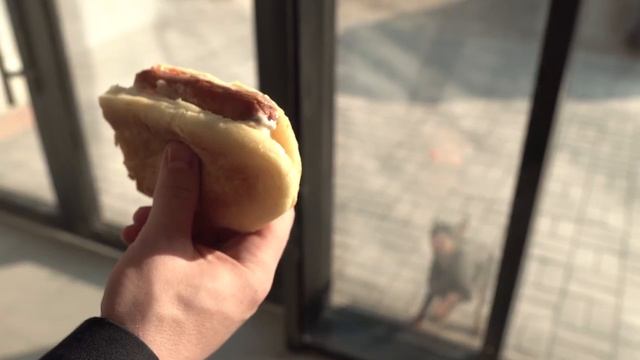 Все прозрачно. Значит, надежно и понятно. А в случае ЖК «Современник» еще современно и красиво.