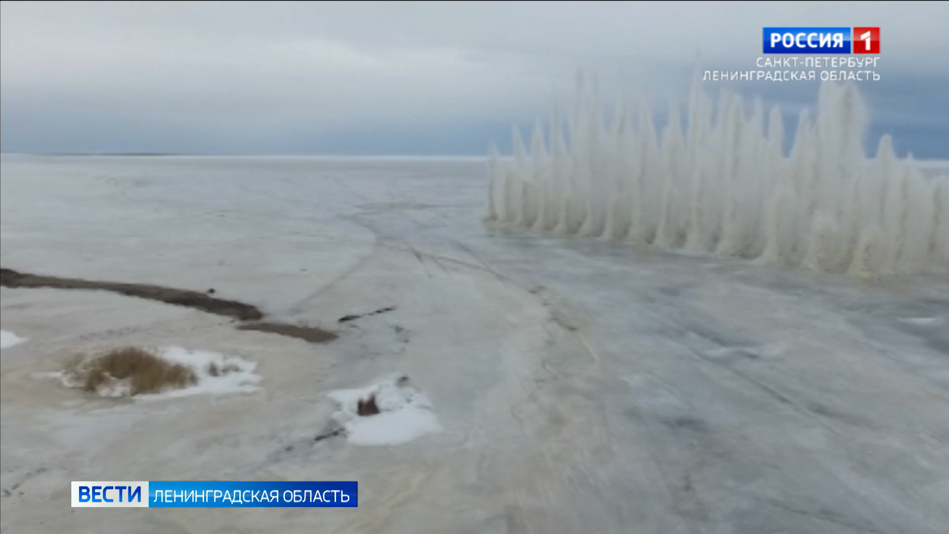 Вести Ленинградская область от 26.03.2022