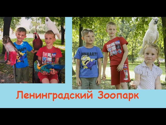 Ленинградский Зоопарк с детьми
