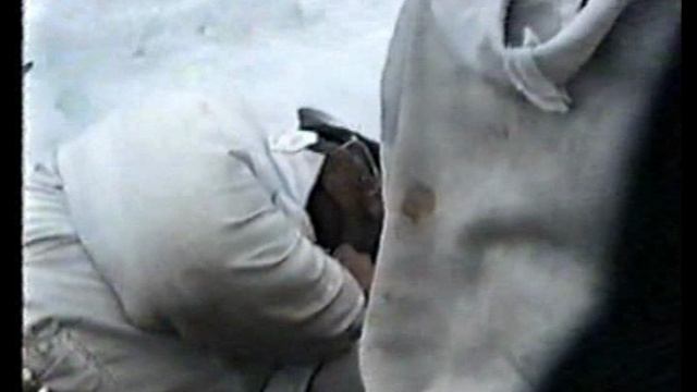 Охота на гуся. Таймыр