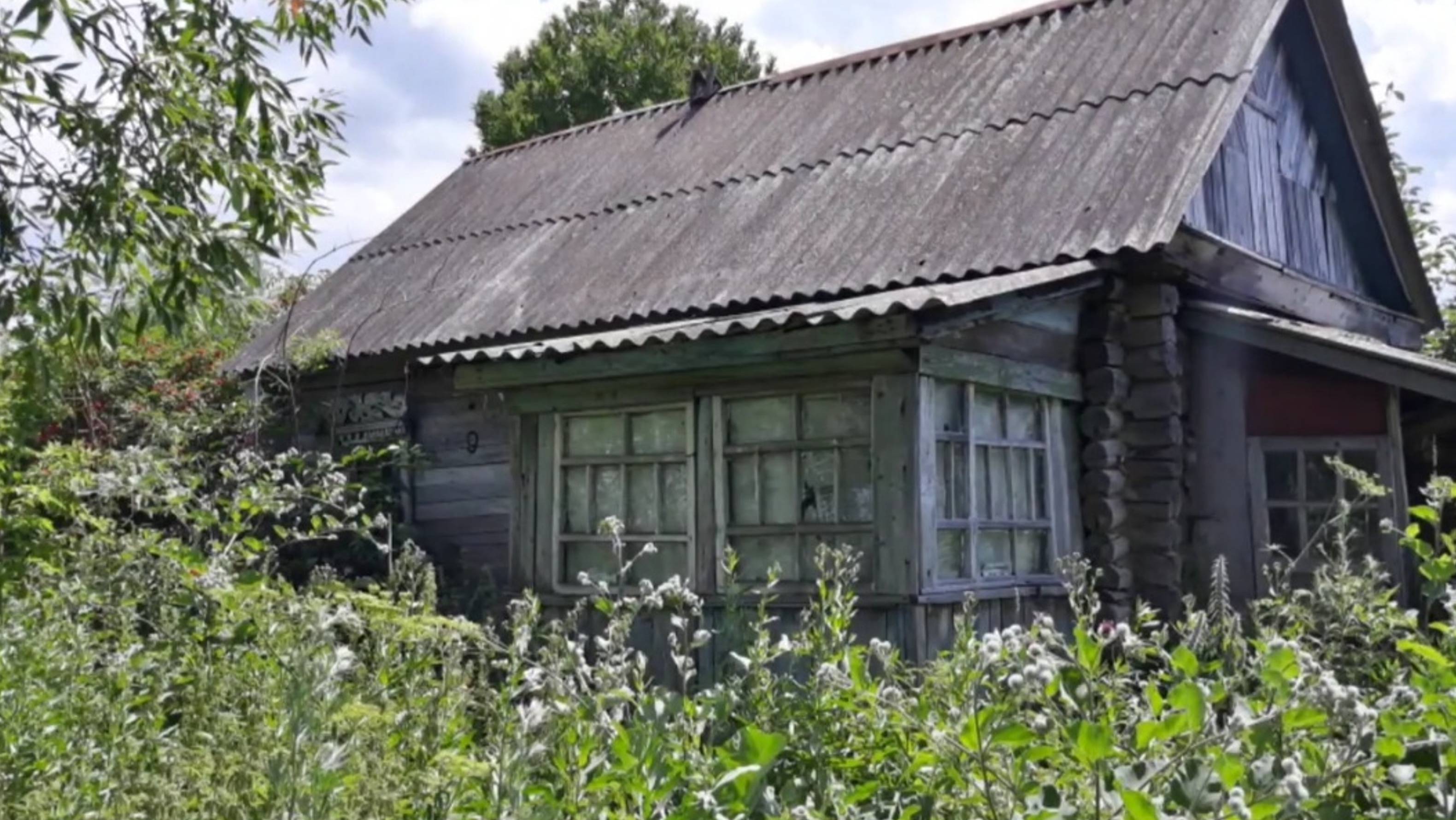 Дорога домой