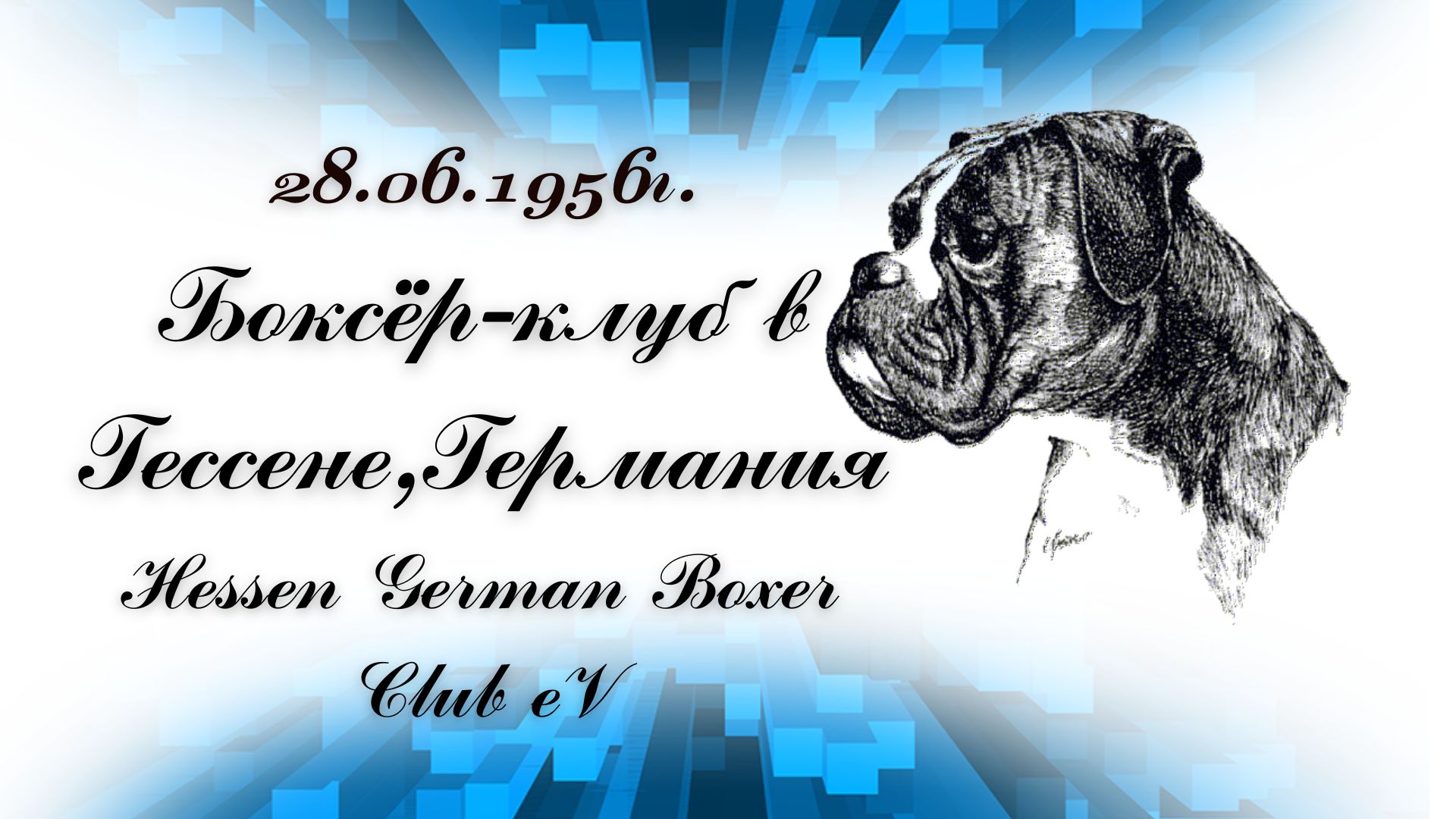 28.06.1956г. Боксёр-клуб в Гессене,Германия.