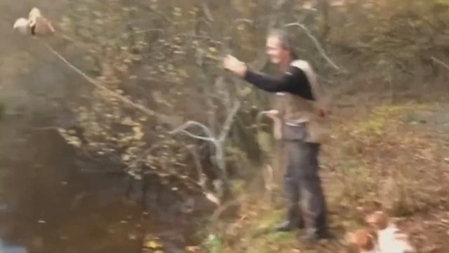 Фильм. Бретонский Эпаньоль от дрессировки к охоте [ 2013г., Франция]..mp4