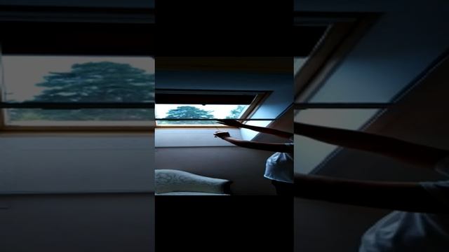 Рулонная москитная сетка