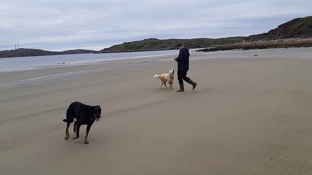 Заполярье 2019.mp4