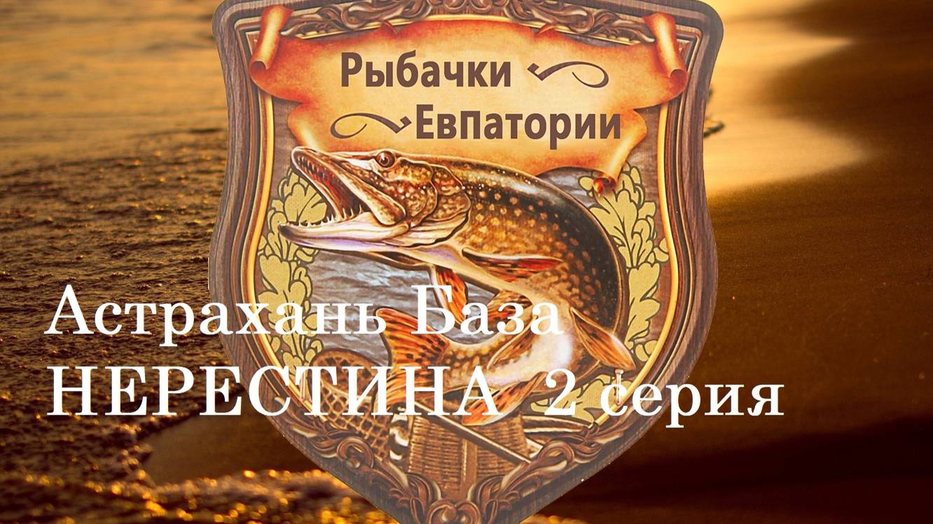 НЕРЕСТИНА 2 СЕРИЯ АСТРАХАНЬ 2022