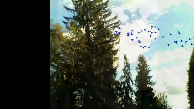 ЗДЕСЬ ПОД НЕБОМ ЧУЖИМ.mp4