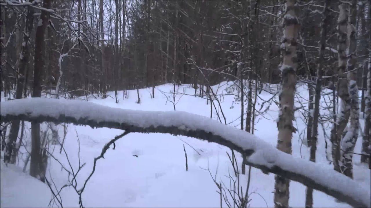 Прогулка на лыжах возле дома