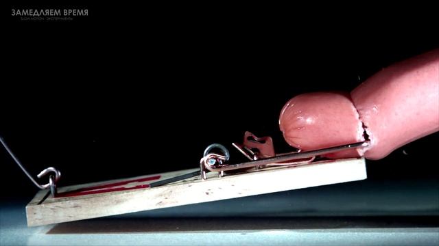 Мышеловка против хот-дога. Замедленная съёмка Slow Motion (Слоу Мо)