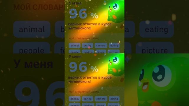 Как получить большинство верных ответов | Duolingo