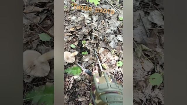 тихая охота|где то под Уфой