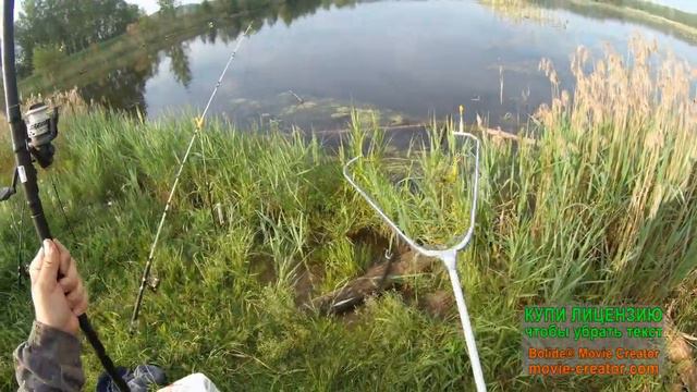 Рыбалка на карася поплавочной удочкой и донками "Крокодил".
