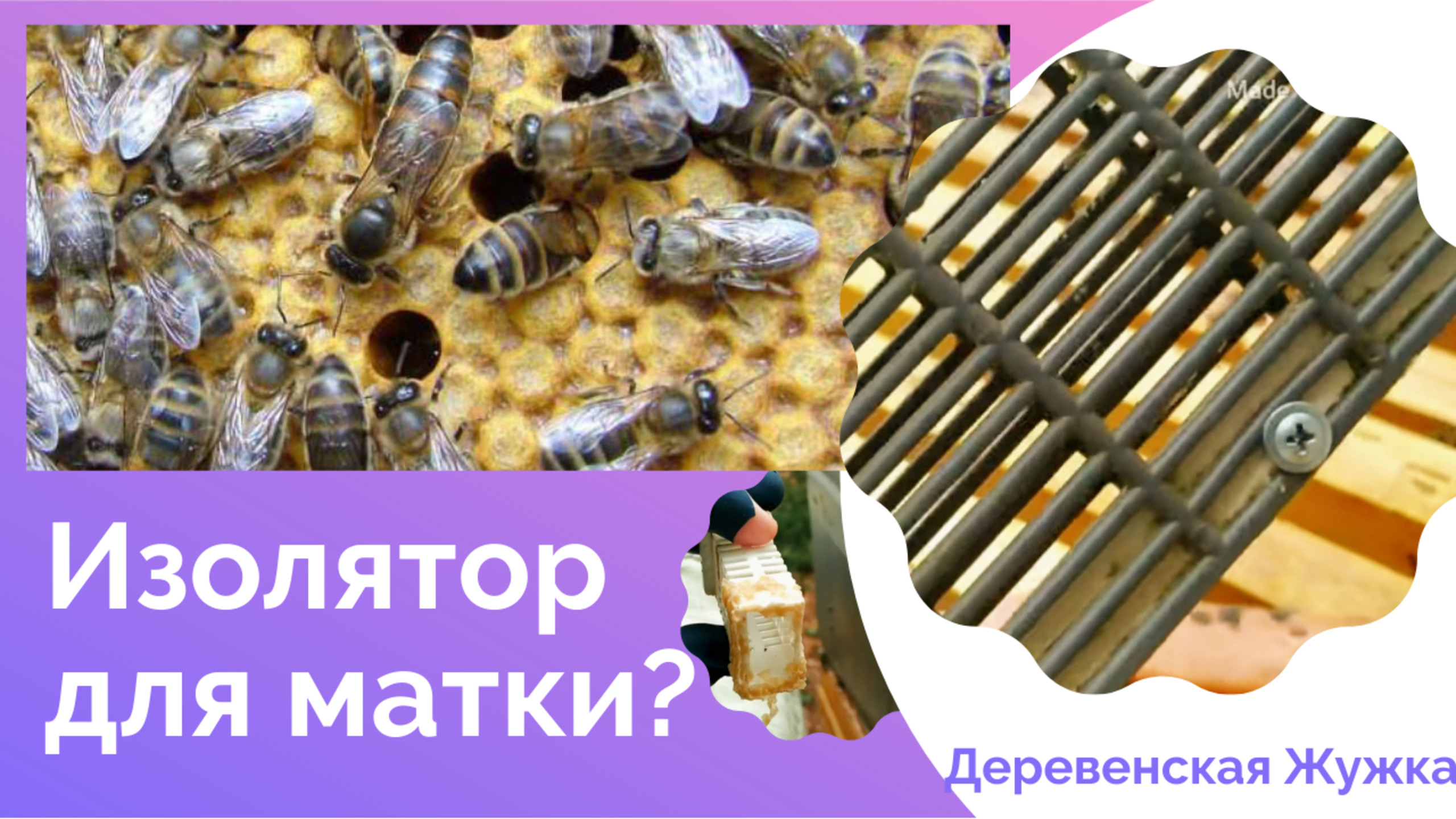 Пчёлы. На трех корпусах. Результат использования изолятора.