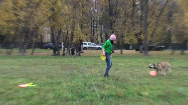 Фризби Фристайл Ольга и Барс Осенний вальс.mp4