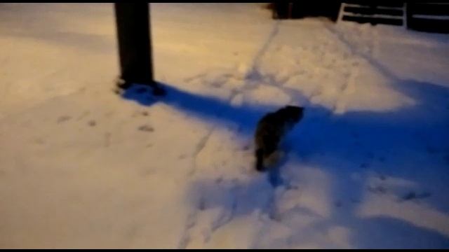 VID-004 Намело в Финеево 27.04.21.mp4