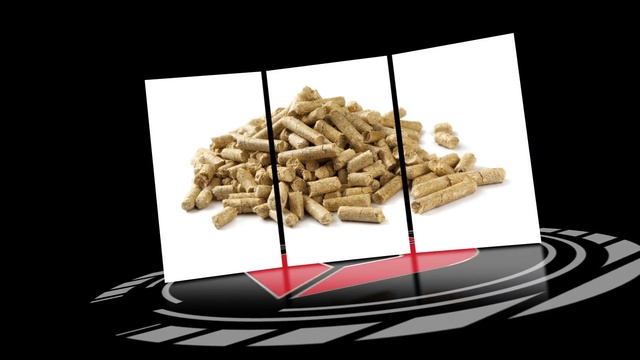 Печи и камины La Nordica