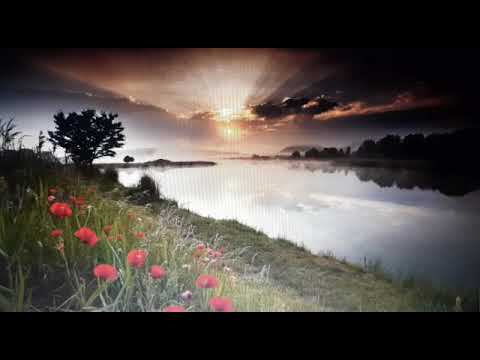 Антолий Шипулин "Зорька, плакучая зорька". Читает Ирина Стрельцова