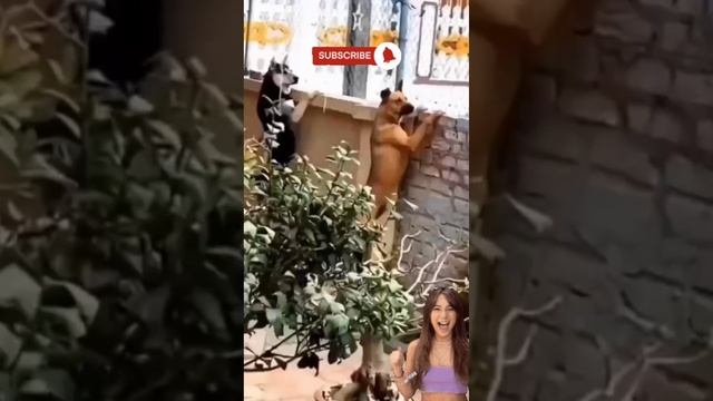 YouCut_20230616_221010318.mp4