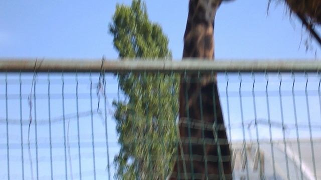 DSCN3848.AVIКраснодар паркСафари парк Галицкого 2021