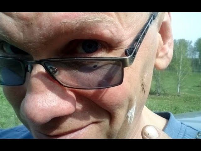 Дрозд-рябинник на гнезде - 3