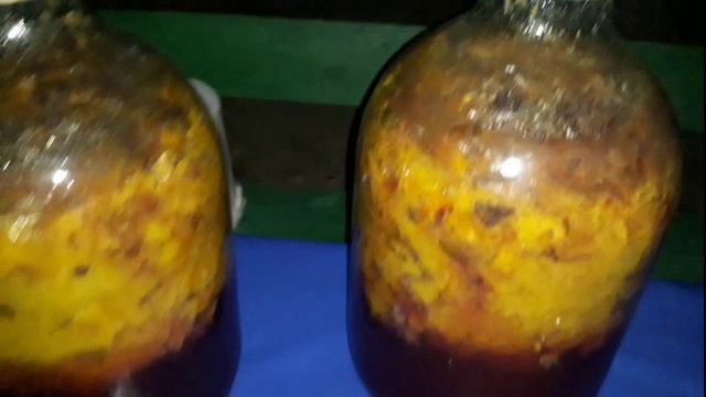 Брага из слив.mp4