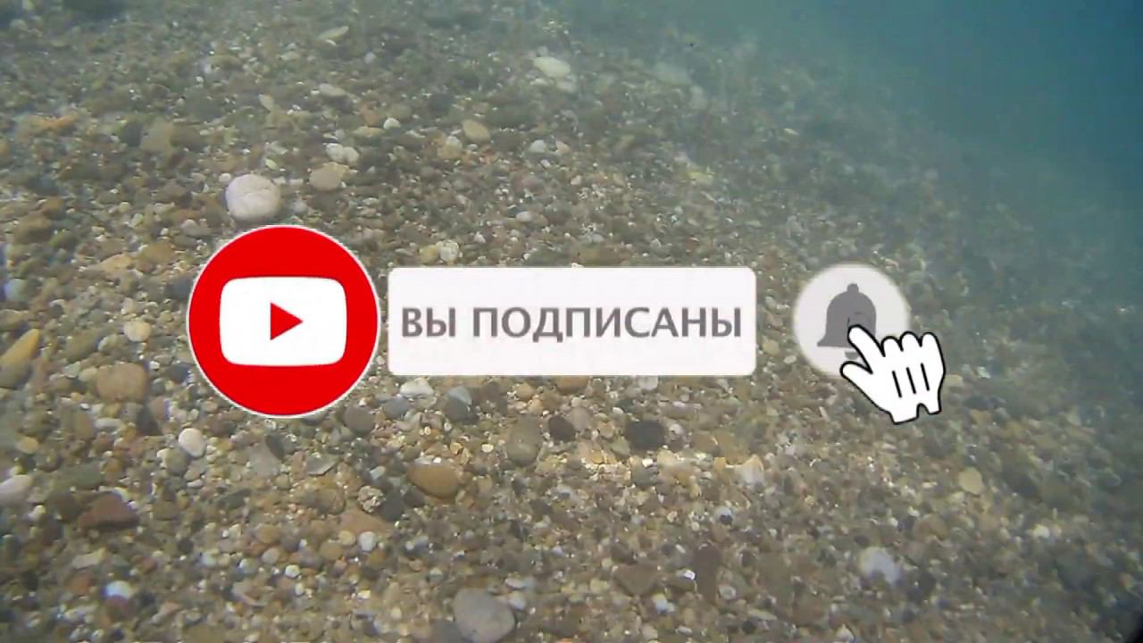 Абхазия. Отдых в Абхазии. Подводный мир Абхазии. Часть 8