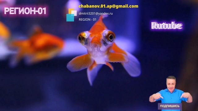 РЕГИОН-01 подпишись.