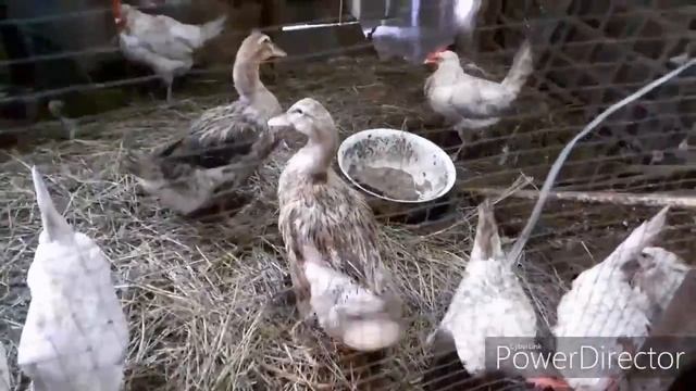 2019.гОбзор-ноября.