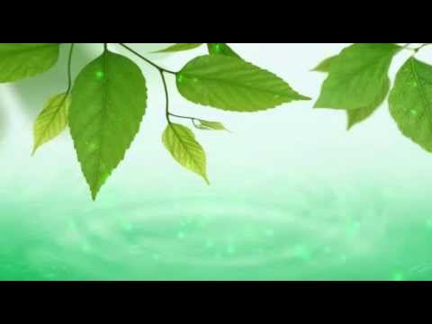 Футаж дождик капли