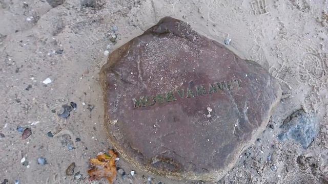 Лунные моря на берегу Мосгорд, Орхус, Дания. 27 окт. 2019