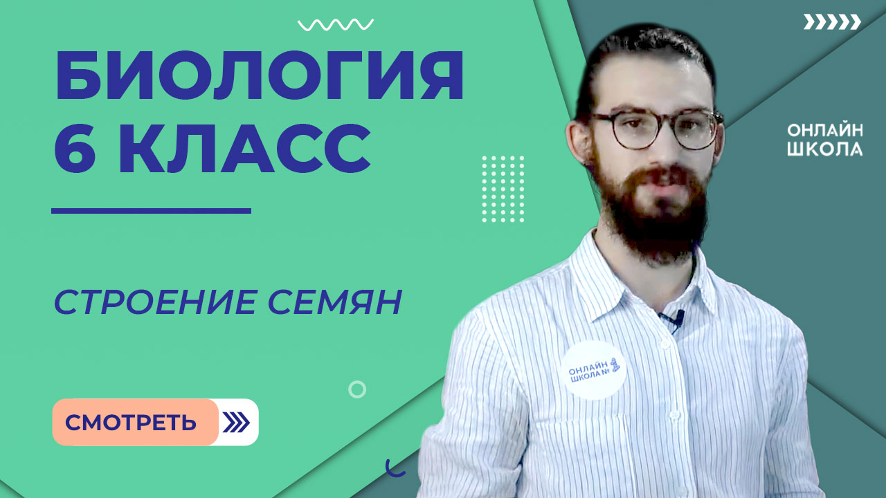 Строение семян. Урок 1. Биология 6 класс