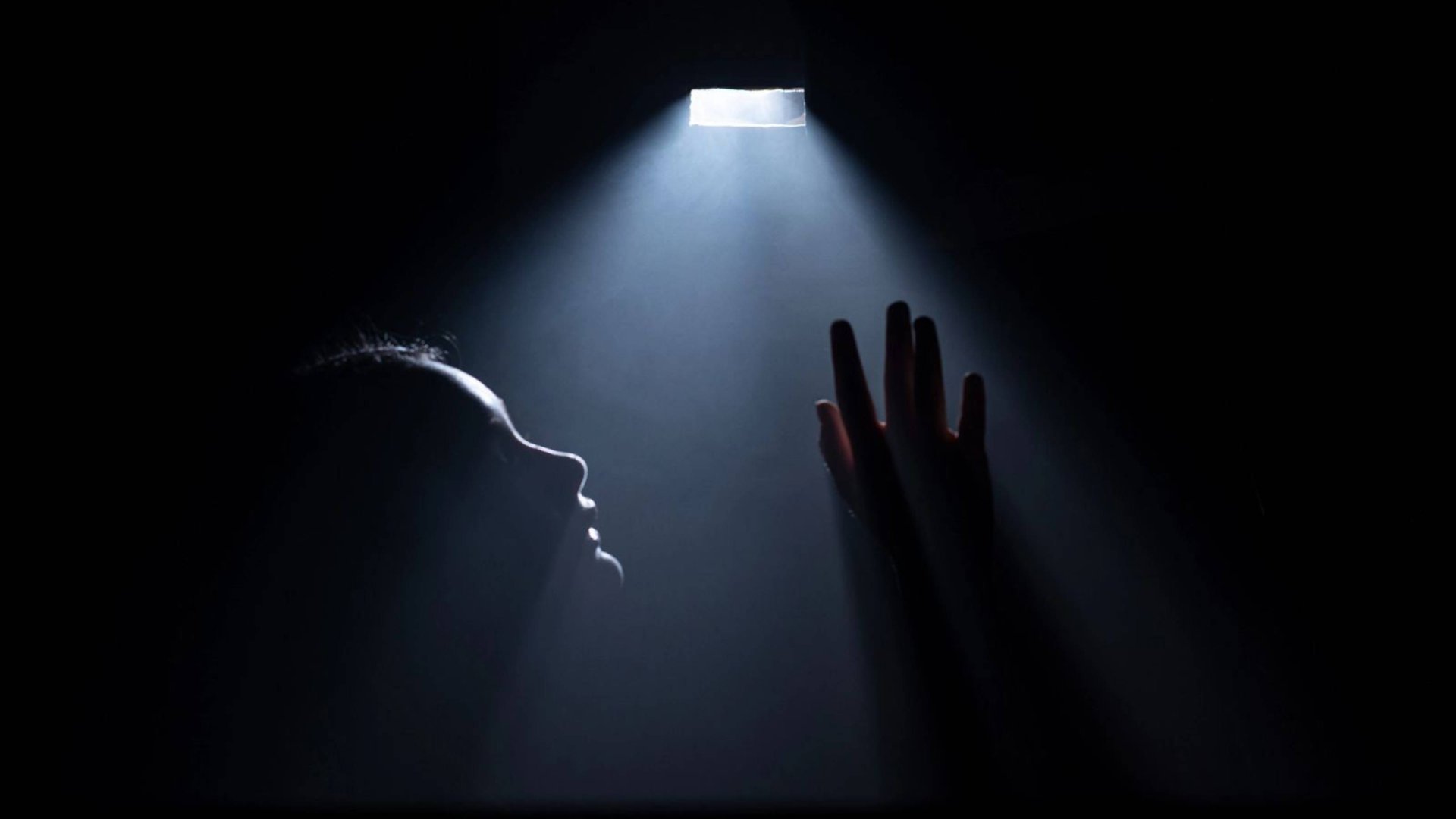 Бюджетный свет для фотографа. Модели, характеристики, примеры фотографий.