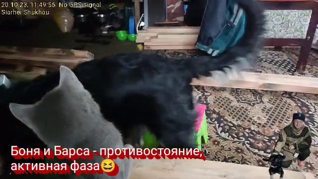 Боня и Барса - противостояние, активная фаза?