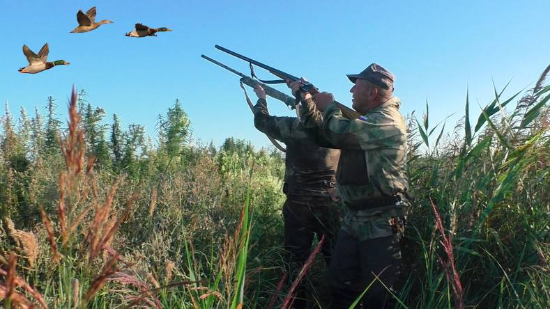 Отличная охота на осеннюю утку. Хорошие выстрелы и компания.
