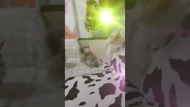 С Новым 2023 годом! ???