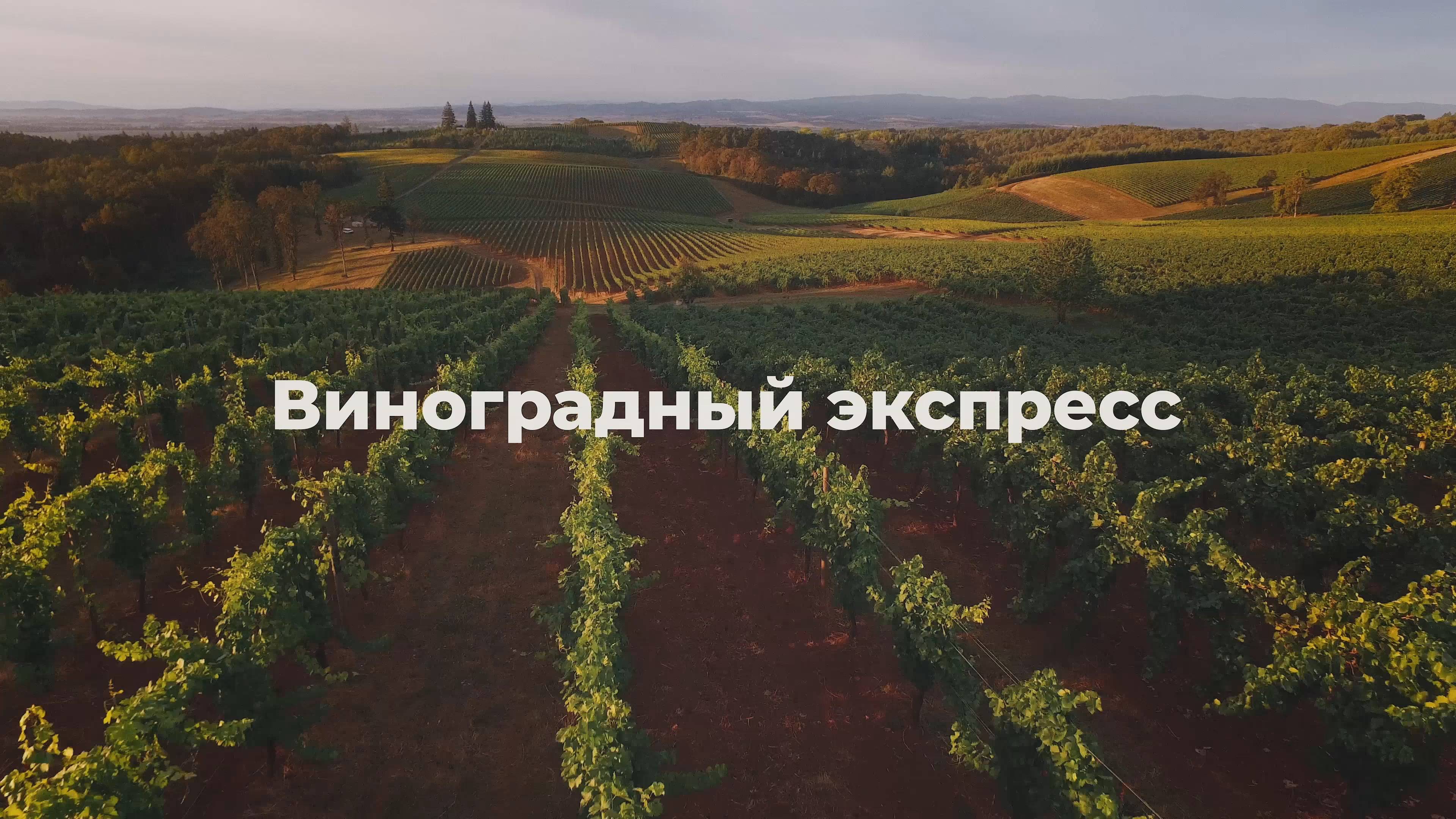 Прогулка на виноградном экспрессе