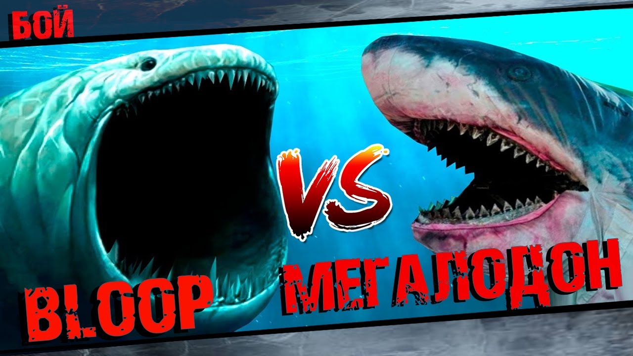 Блуп против Мегалодона самого Страшного Чудовища океана