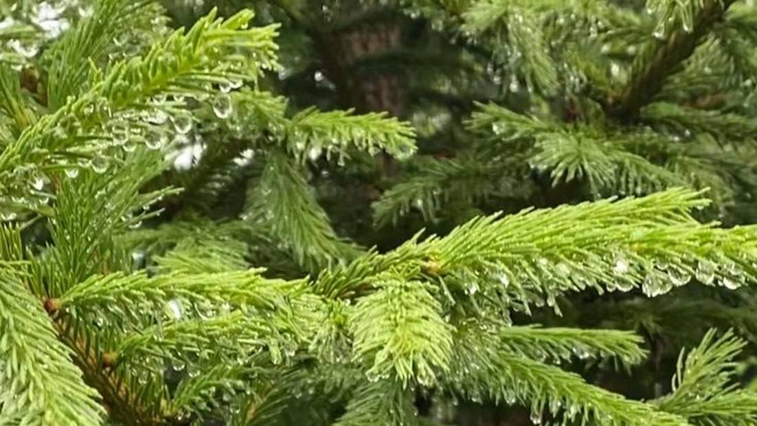 Медитация для  равновесия